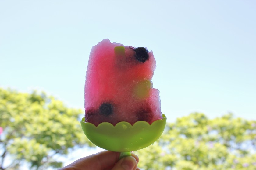 Berry lemonade ice blocks and Australian Summer – Baking with Gab
