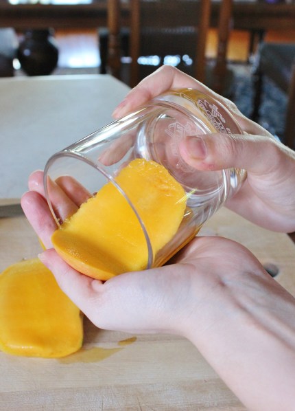 Mango coconut pops and Summer tastes – Baking with Gab